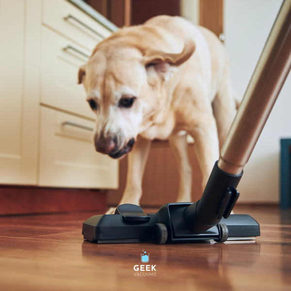 The Advantages of Central Vacuum Systems for Pet Owners: A Quieter, Cl ...