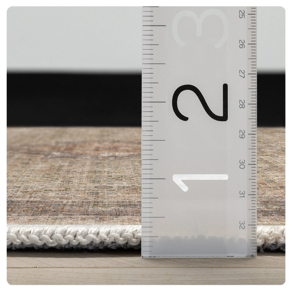 Sebo Vacuums Low Rugs and Bare Floors – Geek Vacuums